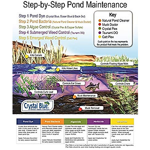 Sanco Industries Catt Plex Herbicide - Aquatic Grade - Works on Cattails, Pond Weeds, Water Lilies, Grass - One Quart 32oz