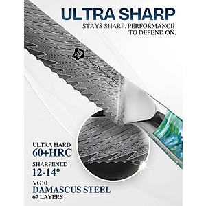 WILDMOK Serrated Bread Knife - 8 inch, Strong Resin Handle, 67 Layer Japanese VG10 Steel Slicer