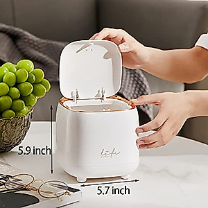 Tabletop Trash Can with Lid, 1 Gallon/4 Liter Mini Plastic Wastebasket Rubbish Bin, Portable Countertop Garbage Can with Removable Inner for Bathroom Dresser, Living Room, Office, Car(Light Green)