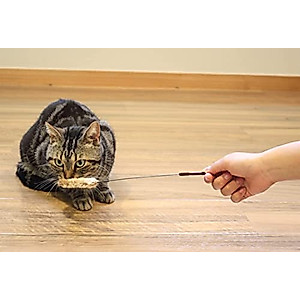 Catty Man Cat Play Grass, Jareneko Setaria 2 pcs. Set. Interactive Cat Teaser Wand Made in Japan