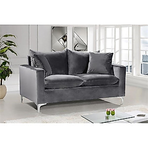 Meridian Furniture Naomi Collection Modern | Contemporary Grey Velvet Upholstered Loveseat with Stainless Steel Base in a Rich Gold or Chrome Finish, 633Grey-L
