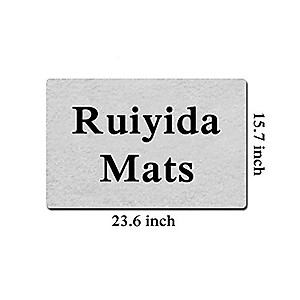 Entrance Floor Mat Hope You Like Bluey Funny Doormat Door Mat Decorative Indoor Non-Woven 23.6 by 15.7 Inch Machine Washable Fabric Top