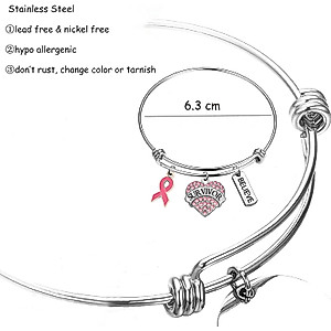 Gzrlyf Stainless Steel Bangle, Survivor Bracelet for Breast Cancer Awareness, Pink Heart Charm