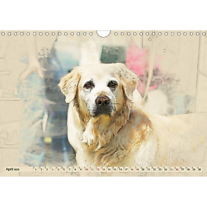 Golden Retriever 2020 (Wandkalender 2020 DIN A4 quer): Golden Retriever im kunstvollen Aquarell-Stil. Jedes Monatsmotiv gleicht einem kleinen Kunstwerk (Monatskalender, 14 Seiten )