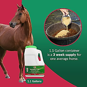SBS Equine Starting Gate Granules for Horses | Horse calming Supplement that prevents & reverses gastric equine Ulcers | 1.1 Gallon | 3 Week Supply