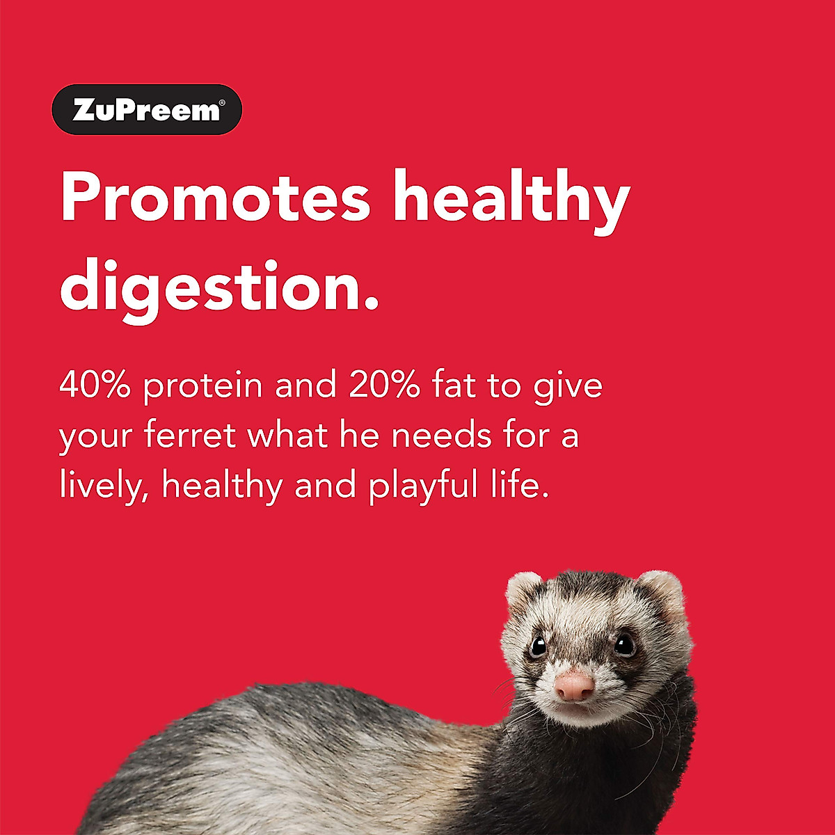 ZuPreem Premium Daily Grain Free Ferret Diet Food, 4 lb (3-Pack) - Nutrient Dense, Highly Digestible, High Protein Levels