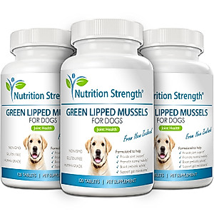 Nutrition Strength Green Lipped Mussels for Dogs for Joint Support & Inflammatory Relief, Promote Normal Mobility & Flexibility, Boost Prebiotic Activity, Support Gut Microbiome, 120 Chewable Tablets