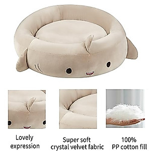 Pet Bed for Dogs, 24Inch Funny Cute Plush Dog Beds, Cozy Soft Dog Round Bed, Fluffy Dog Beds with Non-Slip Bottom (Shark Grey)