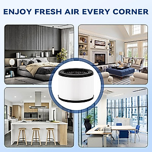 VENDFO Air Filter Replacement Standard Version for VF10, H13 True HEPA Air Cleaner Filter, 4 Pack