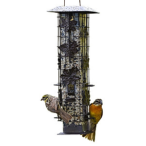 Perky-Pet 336-1SR Squirrel-Be-Gone Bird Feeder, 2LB Squirrel Proof Outdoor Wild Bird Feeder with Weight-Activated Perches