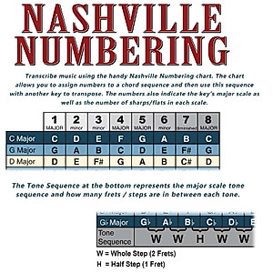 Laminated Viola Fingerboard Note Instructional Chart - Poster includes Circle of 5ths & Nashville Numbering System 11x17 | A New Song Music