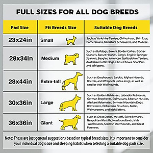 CROCI XXL 30"x36" Charcoal Pads for Dogs, Odor-Control Carbon Pee Pads for Dogs Absorbs Up to 10 Cups of Liquid, 6-Layer Leak-Proof & Quick Dry Dog Training Pads, Disposable (35 Counts)