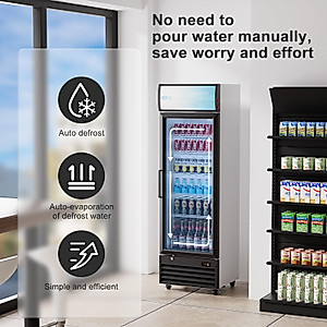 COTLIN Glass Door Merchandiser Refrigerator with LED Lighting, 12.5 cu.ft Commercial Beverage Cooler, Dual-Layer Glass Extra Adjustable Shelves and Drink Organizers, ETL NSF Approved