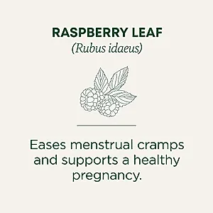 Traditional Medicinals Tea, Organic Raspberry Leaf, Eases Menstrual Cramps, Supports a Healthy Pregnancy, 48 Tea Bags (3 Pack)