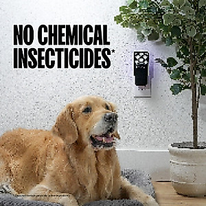 Dynatrap 23007 Glue Card Refills for Indoor Dynatrap Fly Trap Models DT3007 and DT3007W - 6 Glue Card Refills