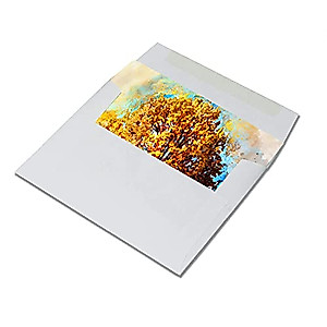 Max Emporium Watercolor Autumn Blank Note Cards - Blank Greeting Cards - 6 Fall Designs - Includes Card and Envelopes - 5.5"X4.25" (24 Pack)