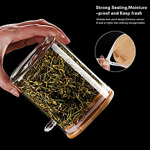 Nevfiro 4 Pack Airtight Glass Jars with Bamboo Lid and Spoon, 19Oz Borosilicate Glass Food Storage Containers Canisters, Decorative Overnight Oats Containers with Lids for Coffee, Tea, Sugar