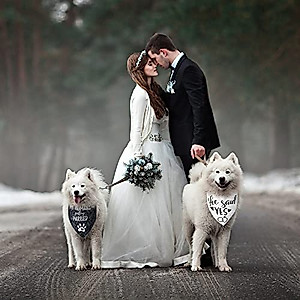 Dog Engagement Announcement, Will You Marry My Daddy Dog Bandana, Dog of Honor Bandana Wedding, Wedding Engagement Photos Pet Scarf Accessories for Small Medium Large Dog (White+Black)