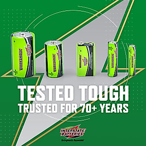 Interstate Batteries D Cell Alkaline Battery (12 Pack) All-Purpose 1.5V High Performance Batteries - Workaholic (DRY0085)