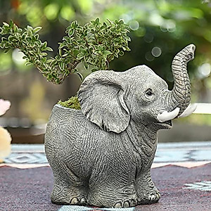 Ylncicn Elephant Planter Succulent Pots Retro Flower Pots. Elephant Gifts for Women. Aunt Garden Yard Flower Succulent Bonsai Bed Trough Plant DIY Pot Home Desktop Decoration