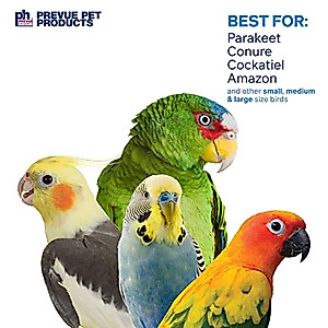 Prevue Pet Products Preen & Pacify Calypso Creations Straw Stacker Bird Toy 62634