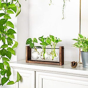 Ivolador Plant Terrarium, Wall Hanging Glass Planter with Wooden Stand Tabletop Propagation Station with Metal Swivel Holder Retro Rack 3 Bulb Containers for Hydroponics Plants Home Office Decor