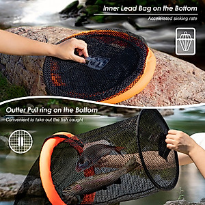 QualyQualy Foldable Fish Basket - Portable Collapsible Fishing Net Storage Cage for Live Fish