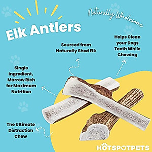 hotspot pets Premium Split Elk Antlers for Dogs - 7 Inch Large Antler Dog Chews (2 Pack) Naturally Shed Antler Bone for Large Breed Aggressive Chewers - Made in USA - Promotes Dental Hygiene