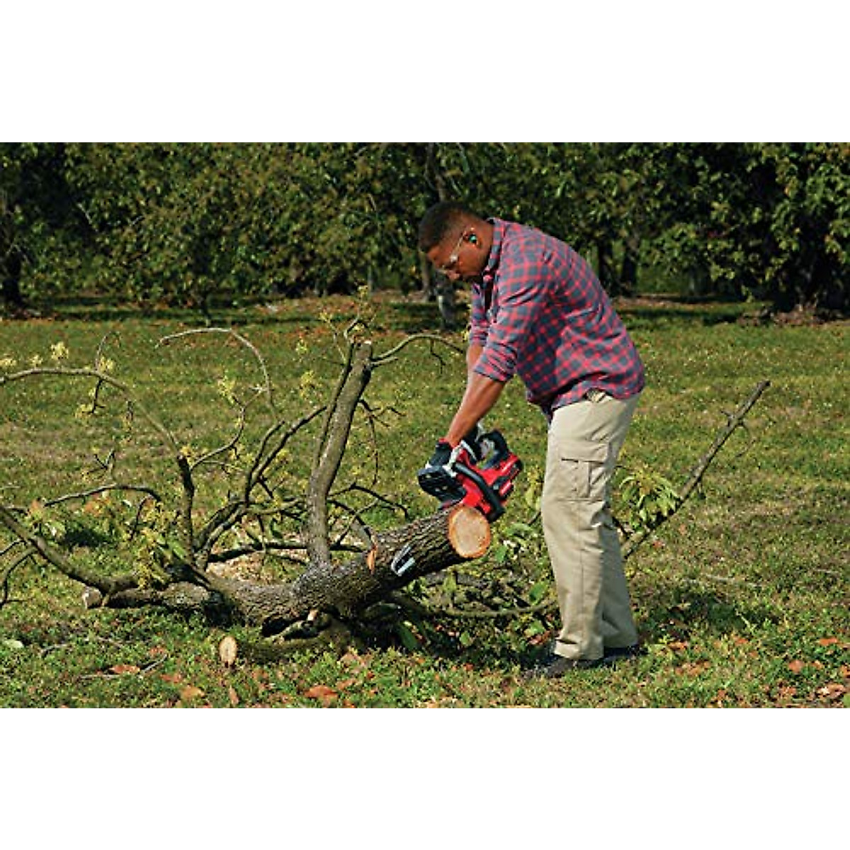CRAFTSMAN V20* Cordless Chainsaw, 12-Inch (CMCCS620M1)