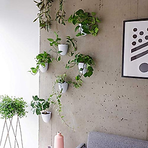 Make Good Virgo Self-Watering Wall Planters (Set of 6) - Easy to Water and Install - Lightweight - Design Your Own Vertical Garden - Wall Planters for Indoor Plants