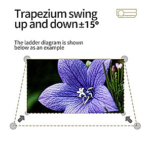 CXDTBH LED Projector 170 Inches Full 1080P Suported with USB for Home Theater Movie Media Player ( Color : White-Fruit peach5 )