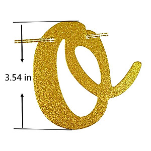 Rip Twenties Banner For Happy 30th Birthday Party Supplies, Men/Women Dirty 30,Funny 30th Bday Decorations