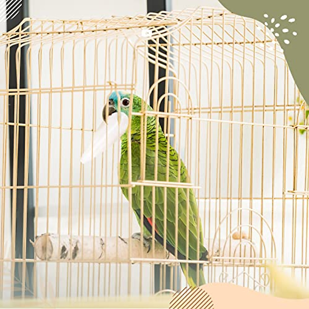 LEIFIDE 30 Packs Cuttlebone, Cuddle Bones for Birds 3.1-3.9 Inches Large Cuttlefish Bone Chew Toy Bird Bites Calcium Stone for Pets Reptile Tortoise Turtles Parakeet Cockatiels Reptiles and Snails