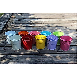 Flower Pots,10 Pcs Metal Iron Hanging Flower Plant Pots Balcony Garden Plant Planter Baskets Fence Bucket Pots 3.94'' Flower Holders with Detachable Hook