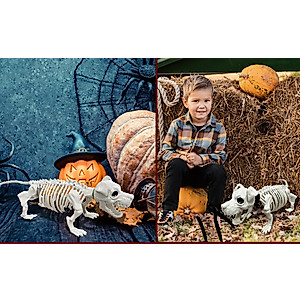Wocst Halloween Skeleton 19” Pose-N-Stay Puppy Skeleton Plastic Dog Bones with Posable Joints Graveyard Prop for Fall Party Decor Indoor/Outdoor (Skeleton Dog)