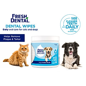 Naturel Promise Fresh Dental Clean Teeth Dental Wipes for Pets, 50 Count, Fresh Mint - Helps Remove Plaque, Tartar & Freshen Breath - Made in The USA