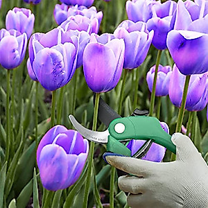 Nevlers 8" Bypass Pruning Shears for Gardening | Garden Shears with Stainless Steel Blades & 8mm Cutting Capacity| Professional Garden Scissors |Heavy Duty Gardening Hand Tools |Green Gardening Shears