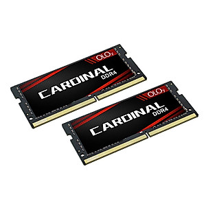 OLOy DDR4 RAM 32GB (2x16GB) 2400 MHz CL17 1.2V 260-Pin Laptop Gaming SODIMM for Intel (MD4S162417IZDC)