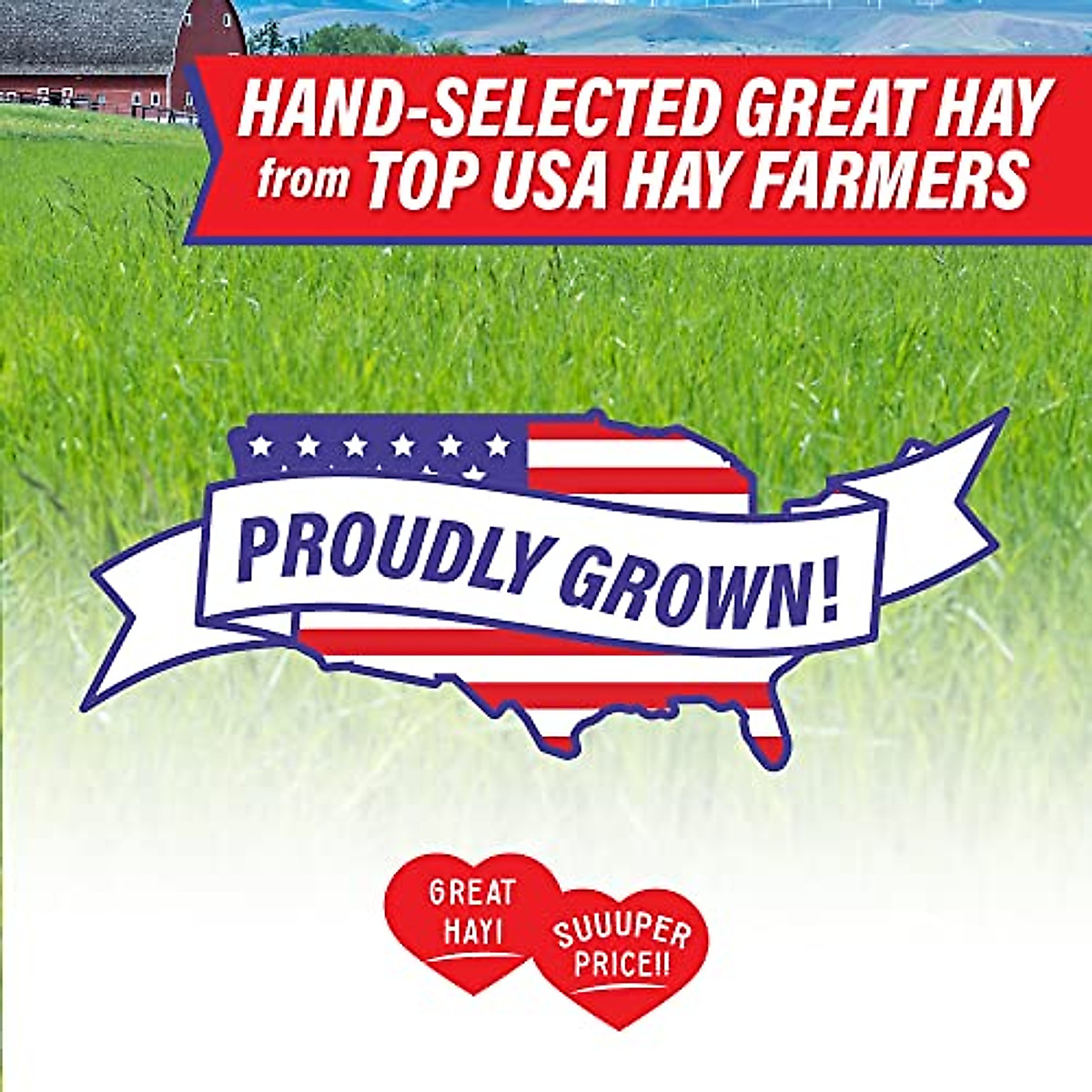 Small Pet Select - Value Choice Timothy Hay, 8lb