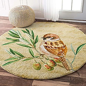 Ultra Soft Round Area Rug 5ft,Vintage Bird Flower,Fluffy Shag Absorbent Water Circle Rugs Runners for Living/Dining Room/Bedroom,Spring Plant,Non Slip Round Floor Carpet Nursery Rug,Modern Home Decor