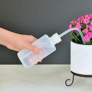 Youngever 4 Pack Plastic Wash Bottles, Empty Squeeze Wash Bottles, Plastic Squeeze Bottles (8 Ounce)