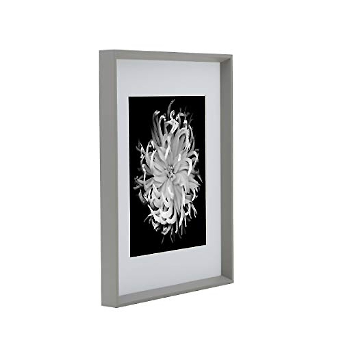 Studio Nova Picture Frame Displays 8 x 10 Photos 11 x 14 Without Mat, 11x14-Matted 8x10, Gray
