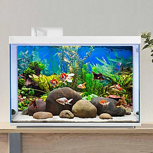 AWERT 60x24 inches Aquarium Background Aquatic Plant River Bed & Lake Fish Tank Background Vinyl