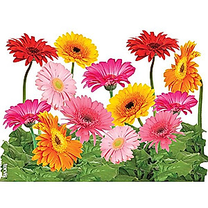 Tervis Gerbera Daisies Made in USA Double Walled Insulated Tumbler Travel Cup Keeps Drinks Cold & Hot, 24oz, Classic