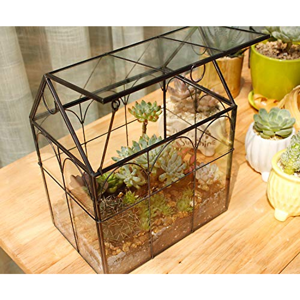 ELEGANTLIFE Glass Geometric Plant Terrarium,Succulent & Air Planter for Home Garden Office Decoration (Black House)