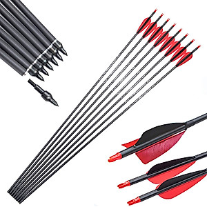Pinals Archery 300 340 400 Spine Carbon Arrows for Compound Bows Traditional Recurve Bow Longbow 30 Inch Shafts Hunting Target Arrow 12PCS Spine 300