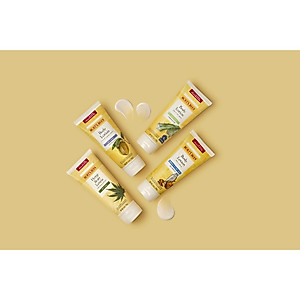 Burt's Bees Hemp Body Lotion with Hemp Seed Oil for Dry Skin, 6 Ounces (Packaging May Vary), 3 Pack