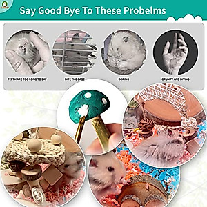 Wepets Hamster Toys, for Hamster, Gerbils, Mice, Rats and Other Small Animals to Chew and Play with, Induce Them to Grind Their Teeth, Reduce Depression. (Pattern-C)