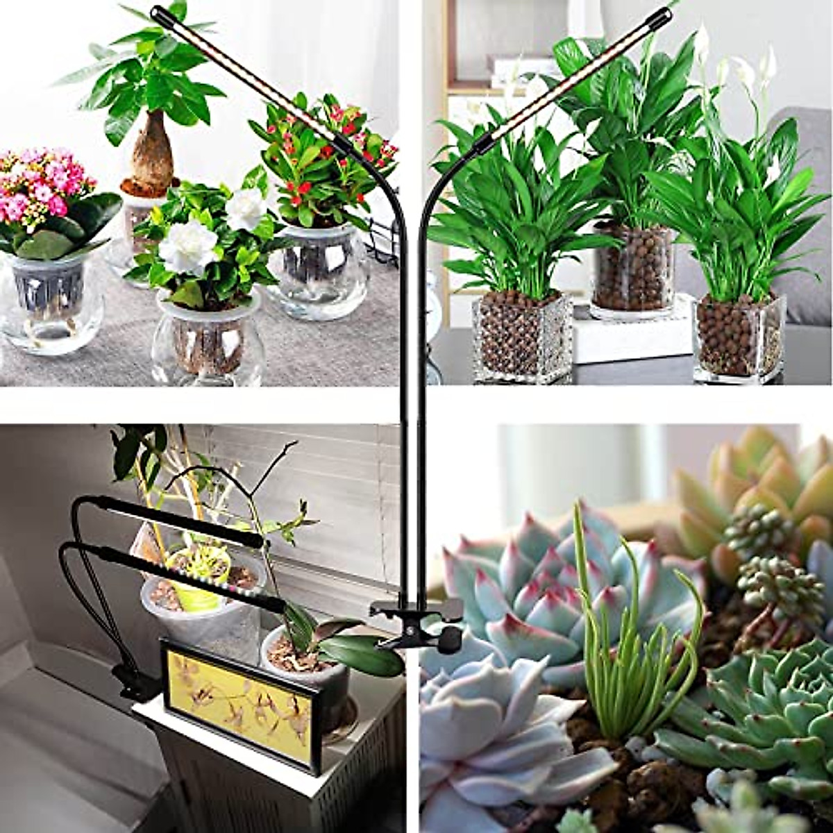 FRGROW Grow Lights for Indoor Plants Full Spectrum, Plant Grow Lights, 3000k/5000k/660nm Plant Growing Lamps, Clip on Plant Lamp with White Red LEDs, Timer Setting, 10-Level Dimmable(2-Head)