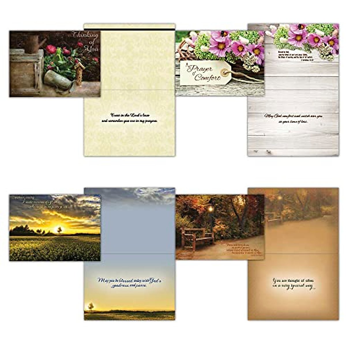 Shared Blessings 48 All Occasion Religious Greeting Cards Value Pack 2 - King James Version Scriptures - Faith Based Greeting Cards - Inspirational Thinking of You Cards with Envelopes - Assorted Designs including Religious Birthday, Thinking of You Cards